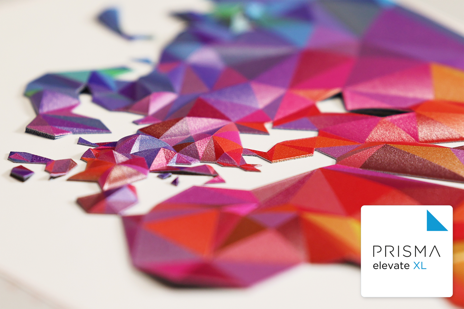 Elevate your prints to the next level with PRISMAelevate XL - graphiPLAZA